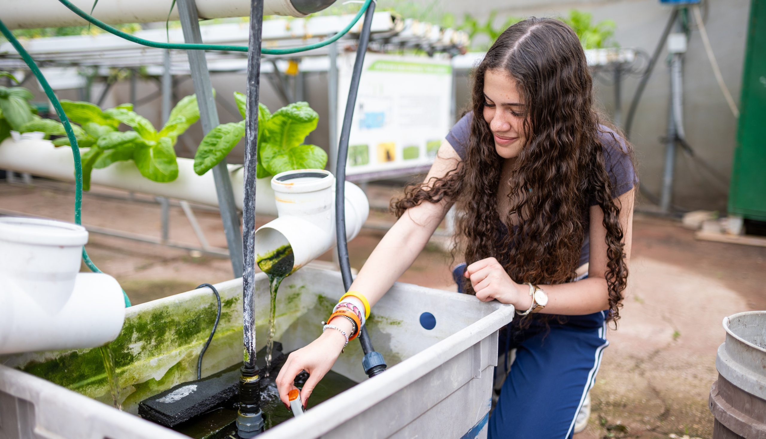 Beit Chana Israel School | Study in Israel Naale